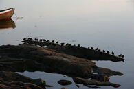 Hjem - Nesseby kommune